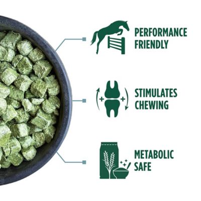 Standlee Premium Western Forage Premium Alfalfa/Timothy Hay Cube Horse ...