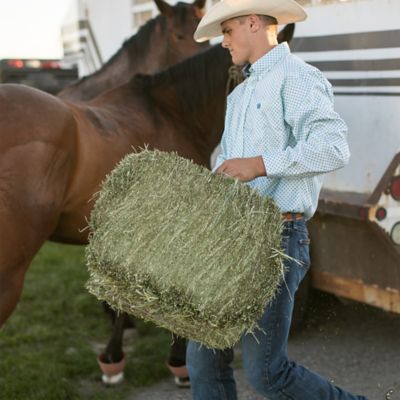 Unbranded Standlee Premium Western Forage Alfalfa Compressed Hay Bale ...