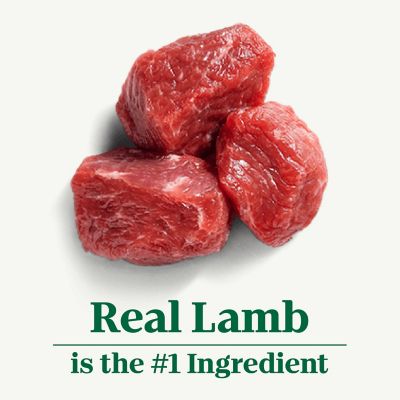 Nutro Natural Choice Original Adult All-Natural Lamb and Rice Pate Wet ...