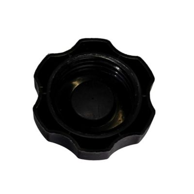 Massimo T-Boss 410, 7560, Buck 250, 450 Cap Fuel Tank at Tractor Supply Co