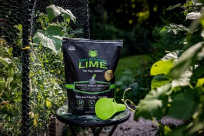 My Favorite Chicken Powder, Sulphur, Lime Hand Duster, Green