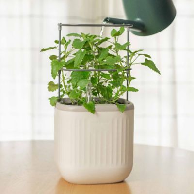 Vego Garden Self-Watering Mini Planter Pot with Trellis, Cream White, 2 ...