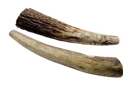 The Treat Shack Whole Naturally Shed 4 to 5 in. Elk Antler Dog Treats ...