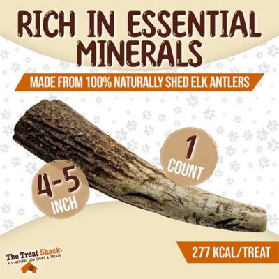The Treat Shack Whole Naturally Shed 4 to 5 in. Elk Antler Dog Treats ...