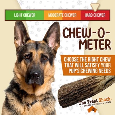 The Treat Shack Whole Naturally Shed 4 to 5 in. Elk Antler Dog Treats ...