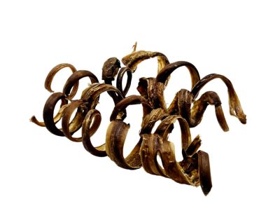 The Treat Shack 8 in. Pork Pizzle Springs Natural Dog Chew Treats, 3CT ...