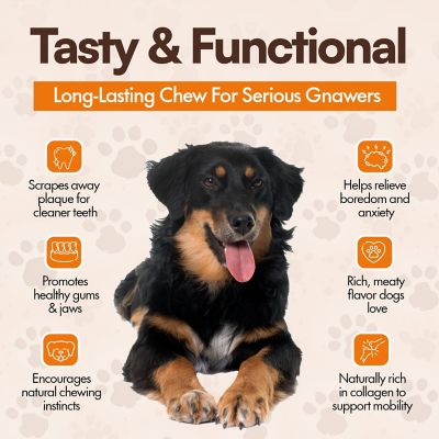 The Treat Shack Extra Meaty Large Beef Foreshank Bone Dog Chew Treat, 3CT