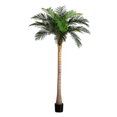 Nearly Natural 6 ft. Artificial Coconut Palm Tree at Tractor Supply Co