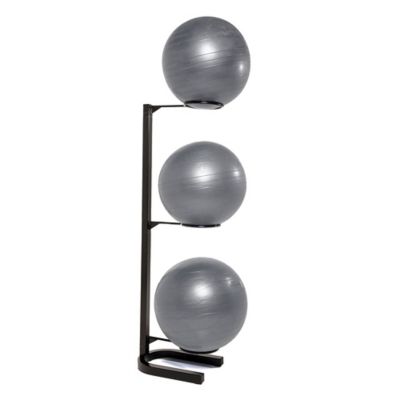Power Systems Premium Stability Ball Rack Black (2 Box Item) at Tractor ...