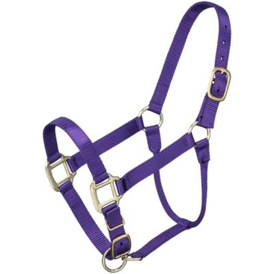 Tough1 Premium Halter, Yearling,Purple at Tractor Supply Co