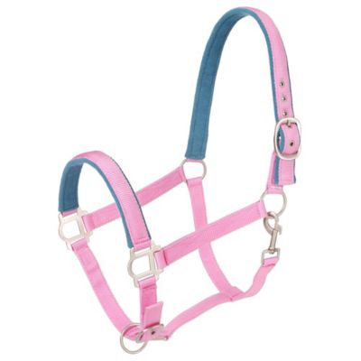 Tough1 Padded Halter with Satin Hardware, Yearling,Pink at Tractor ...