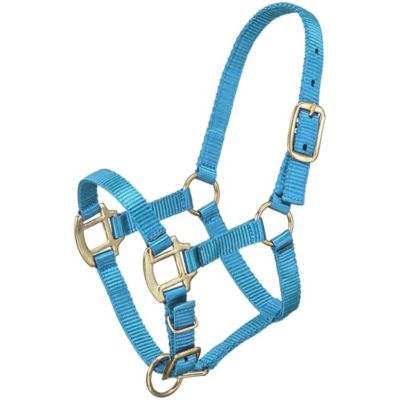 Tough1 Premium Halter, Suckling,Turquoise at Tractor Supply Co