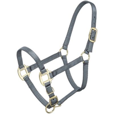 Tough1 Premium Halter, Weanling,Gray at Tractor Supply Co