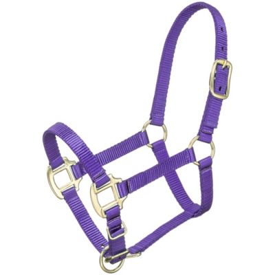 Tough1 Premium Halter, S,Purple at Tractor Supply Co