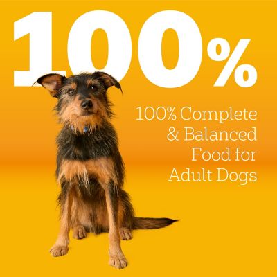 Pedigree Complete Nutrition Adult Roasted Chicken and Vegetable Recipe ...