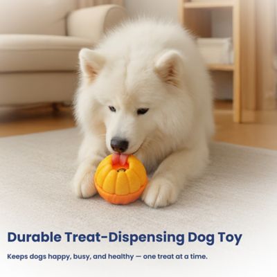 PawsPik 2-in-1 Rolling Treat Dispenser & Frozen Lick Enrichment Doy Toy ...