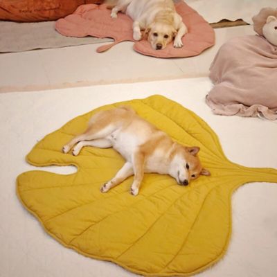 FunnyFuzzy Leaf Shape Pet Blanket