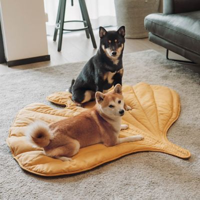 FunnyFuzzy Leaf Shape Pet Blanket