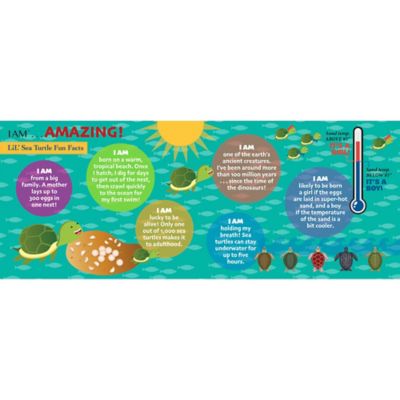 Madd Capp Puzzles I Am LiL' Sea Turtle, 48 pc. Puzzle