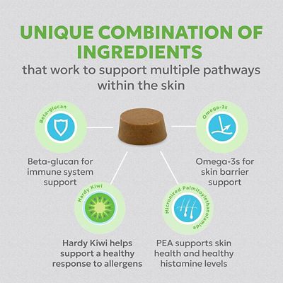 Dermaquin Skin Support Supplement for Large Dogs, 60 Soft Chews at ...