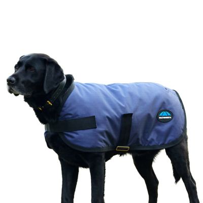 WeatherBeeta ComFiTec Classic Waterproof Dog Coat, 26 in.,Navy at ...