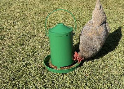Zylina Powder Coated Metal Feeder 13 lb., Green
