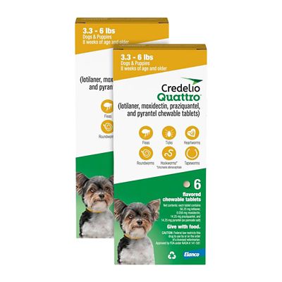 Credelio Quattro Flea and Tick Flavored Chewable Tablet for Dogs and ...