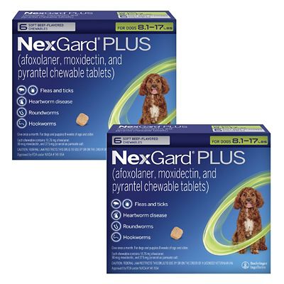 NexGard PLUS Flea, Tick & Worm Treatment Chewables for Dogs, 8.1 to 17 ...