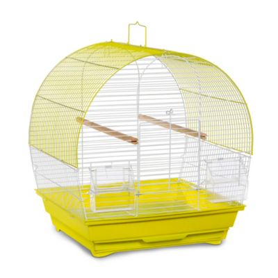 Prevue Pet Products Soho Dome Top Roof Chartreuse & White Bird Cage at ...