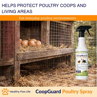 Healthy Paw Life CoopGuard Poultry Spray, Natural Poultry Housing Care ...