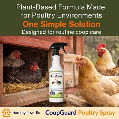 Healthy Paw Life CoopGuard Poultry Spray, Natural Poultry Housing Care ...