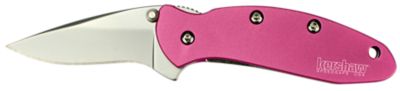 Kershaw 1.90 in. Chive Drop Point Folding Knife with Pocket Clip, Plain ...