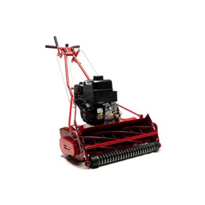 McLane Reel Mower 25 in. Grooved Roller 7 Blade GX160 at Tractor Supply Co
