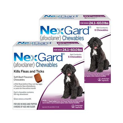 NexGard Flea & Tick Treatment for Dogs and Puppies, 24.1 to 60 lb.,12 ...