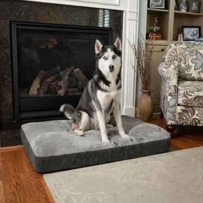 Snoozer Reversible Premium Slumber Spot Dog Bed with Ash Cloud 9 Top, M ...