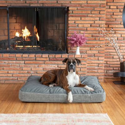 Snoozer Reversible Premium Slumber Spot Dog Bed with Ash Cloud 9 Top, L ...