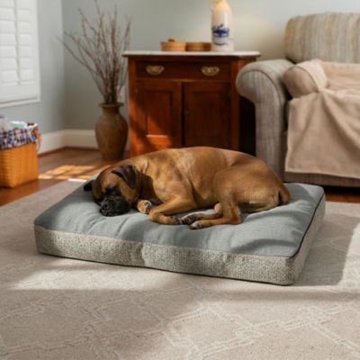 Snoozer Reversible Premium Slumber Spot Dog Bed with Ash Cloud 9 Top, L ...