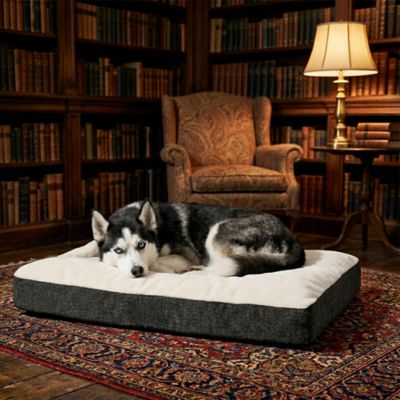Snoozer Reversible Premium Slumber Spot Dog Bed with Ivory Cloud 9 Top ...